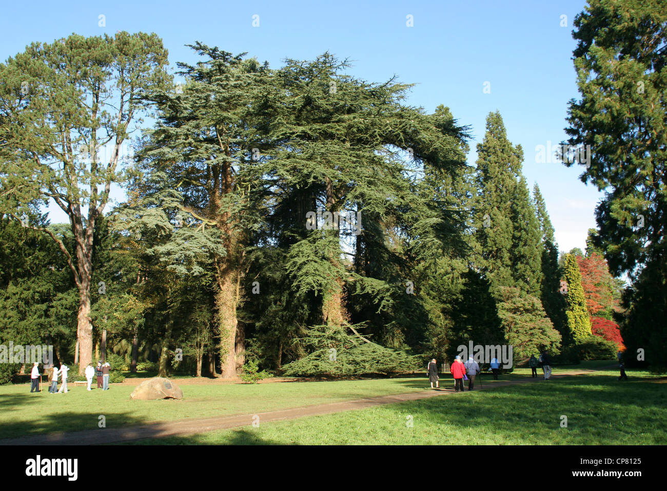 Westonbirt arboretum spring people hi-res stock photography and images ...