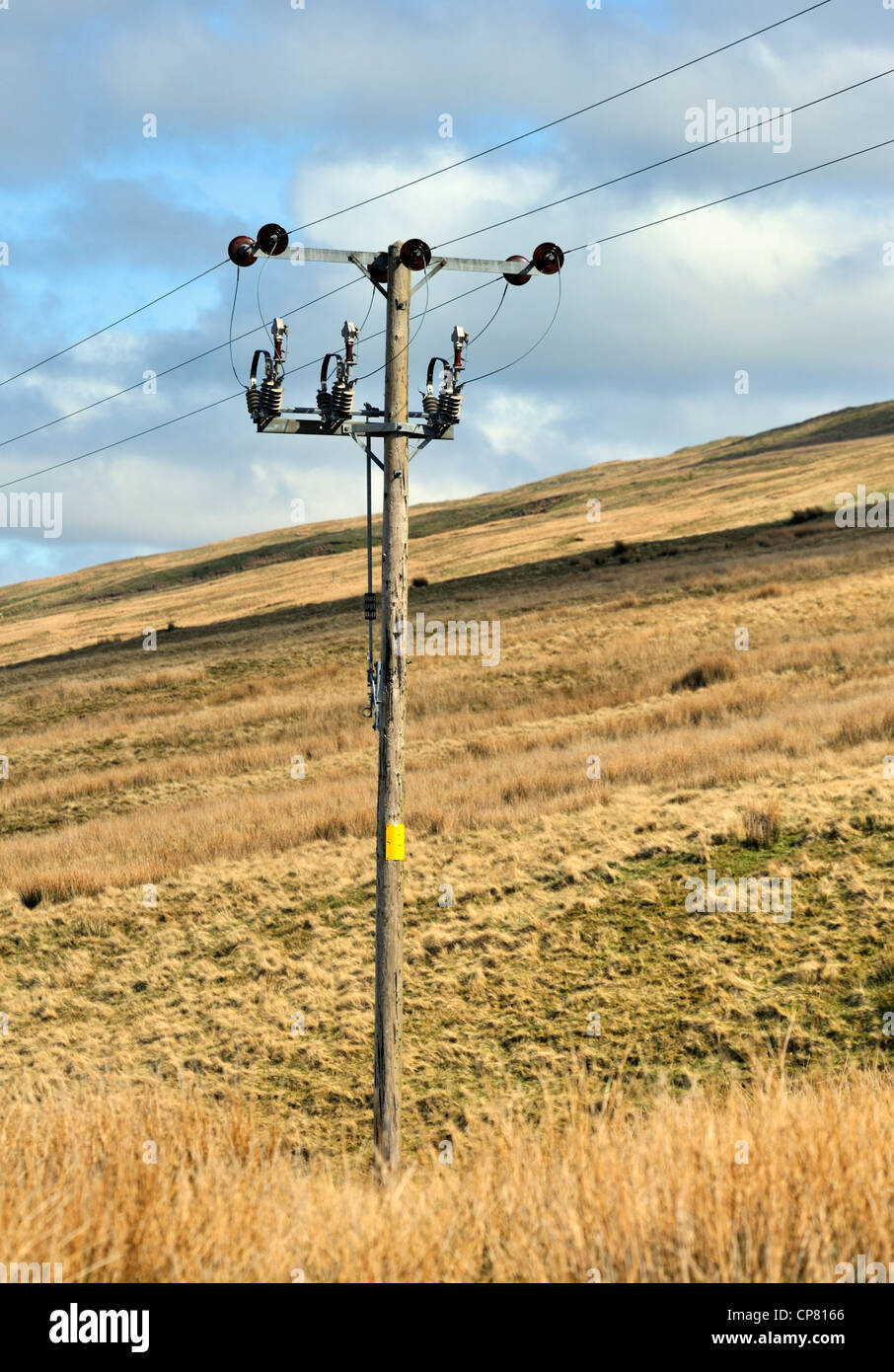 Overhead electrical power lines with hand operated isolators ...