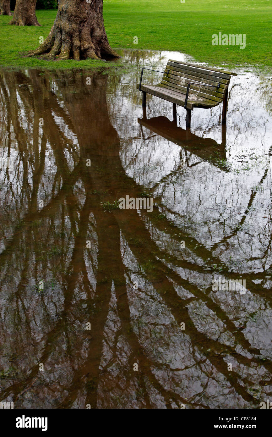 Empty wooden bench in flooded park with reflection of tree in water in ...