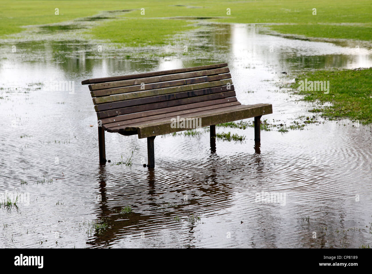 Empty wooden bench in flooded park with reflection of tree in water in ...