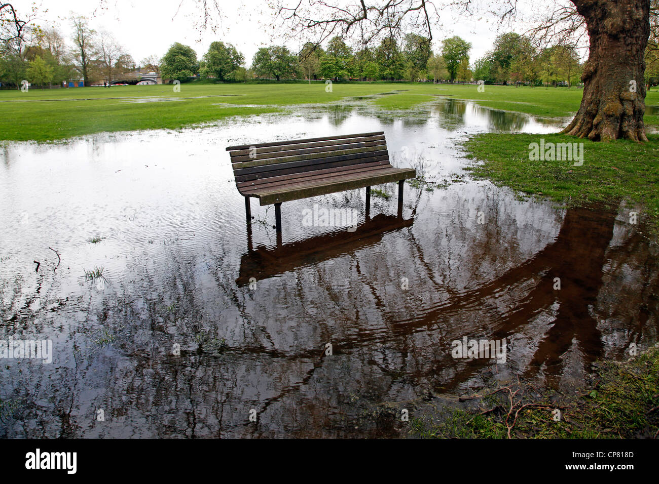 Empty wooden bench in flooded park with reflection of tree in water in ...