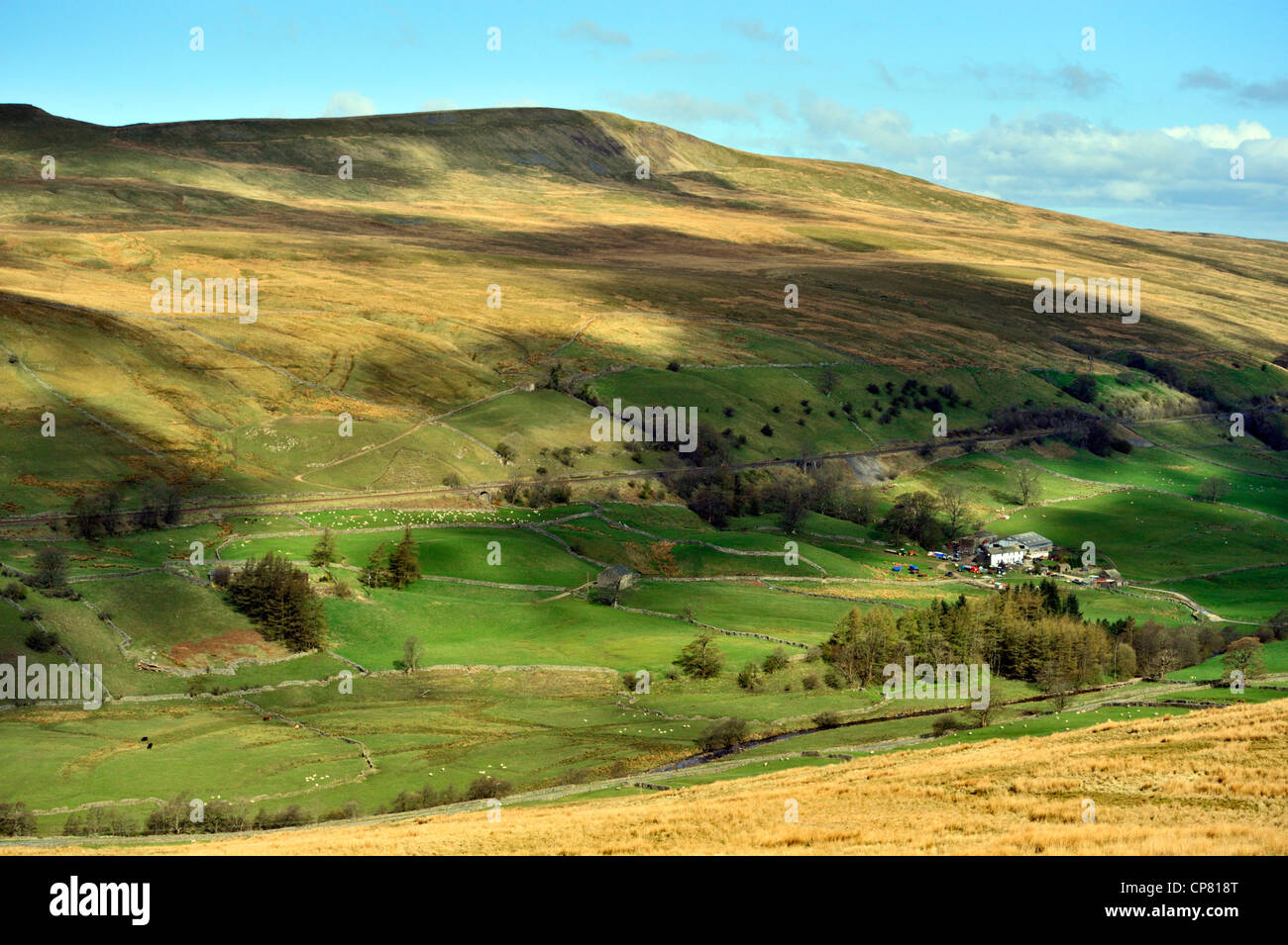 Are Dogs Allowed At Hall Hill Farm