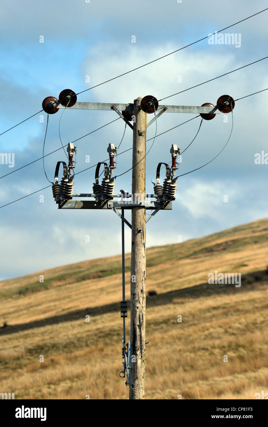 Overhead electrical power lines with hand operated isolators ...
