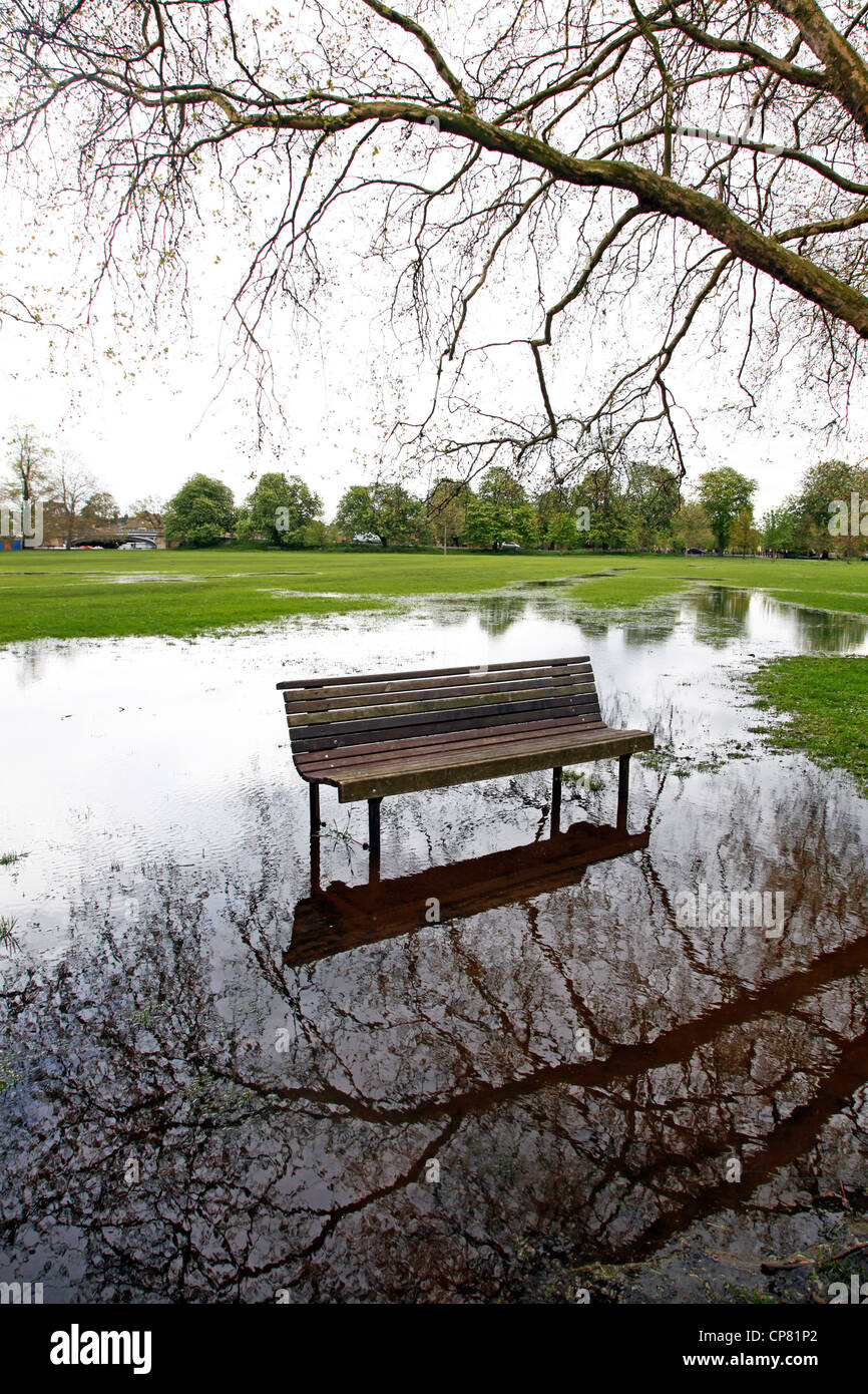 Empty wooden bench in flooded park with reflection of tree in water in ...