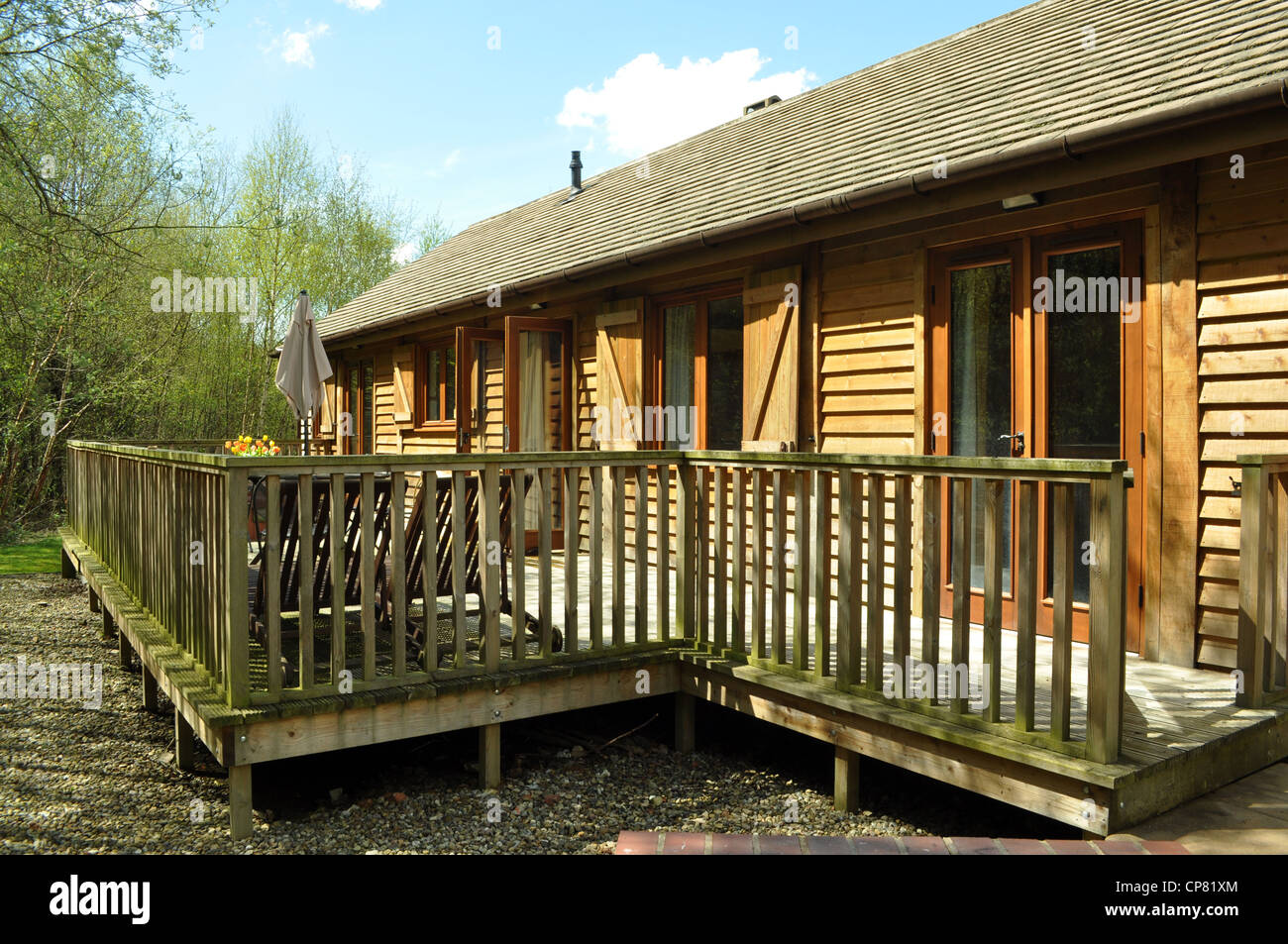 Griffon forest York Stock Photo - Alamy