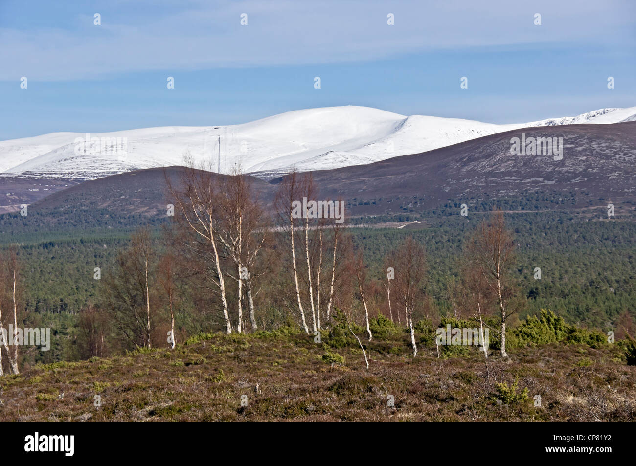 Mighty Scottish mountain Cairn Gorm in the Cairngorms National Park on ...