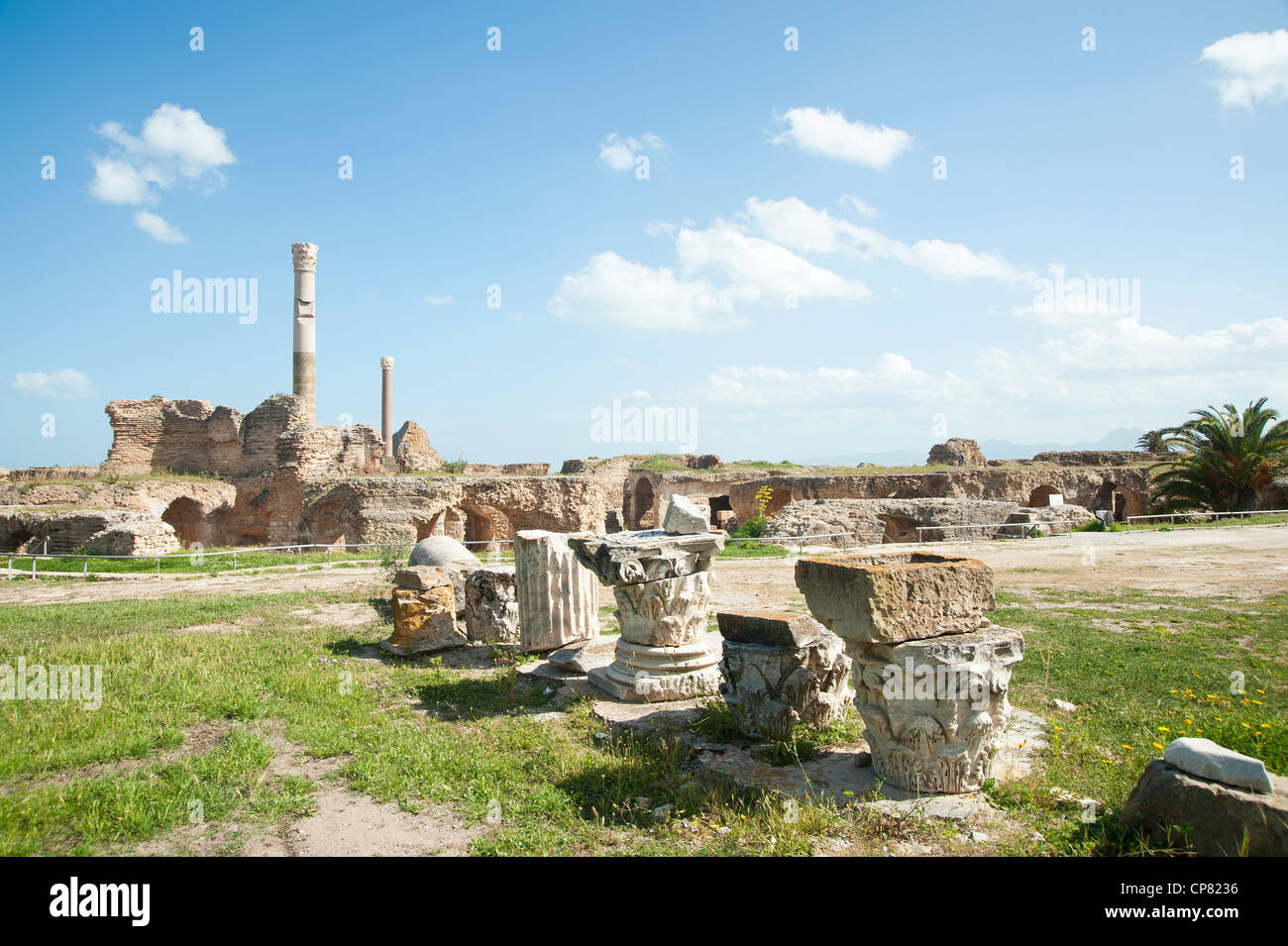 Carthage, Tunisia - Column at the Baths of Antonine Stock Photo - Alamy