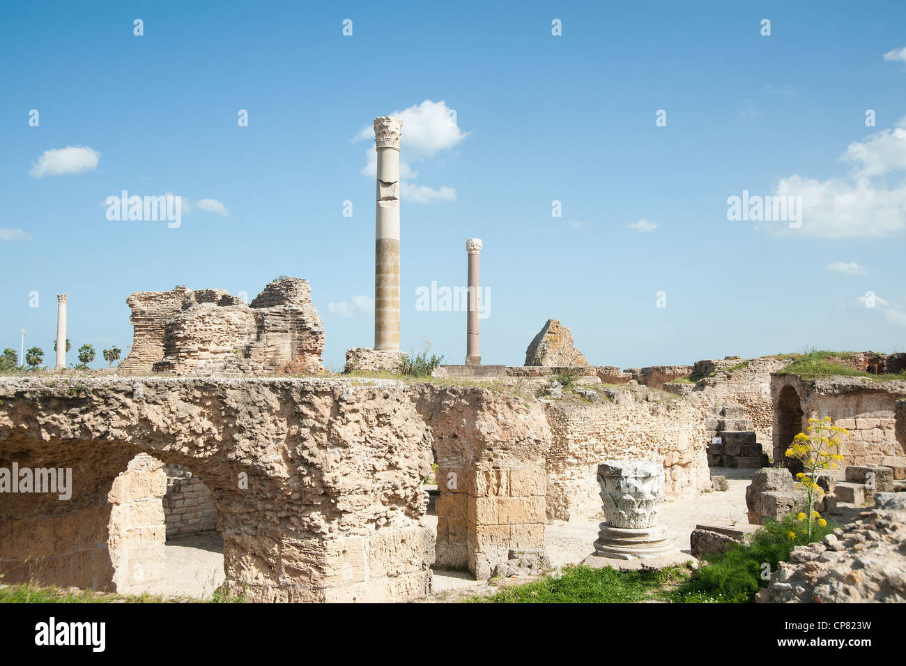 Carthage, Tunisia - Column at the Baths of Antonine Stock Photo - Alamy
