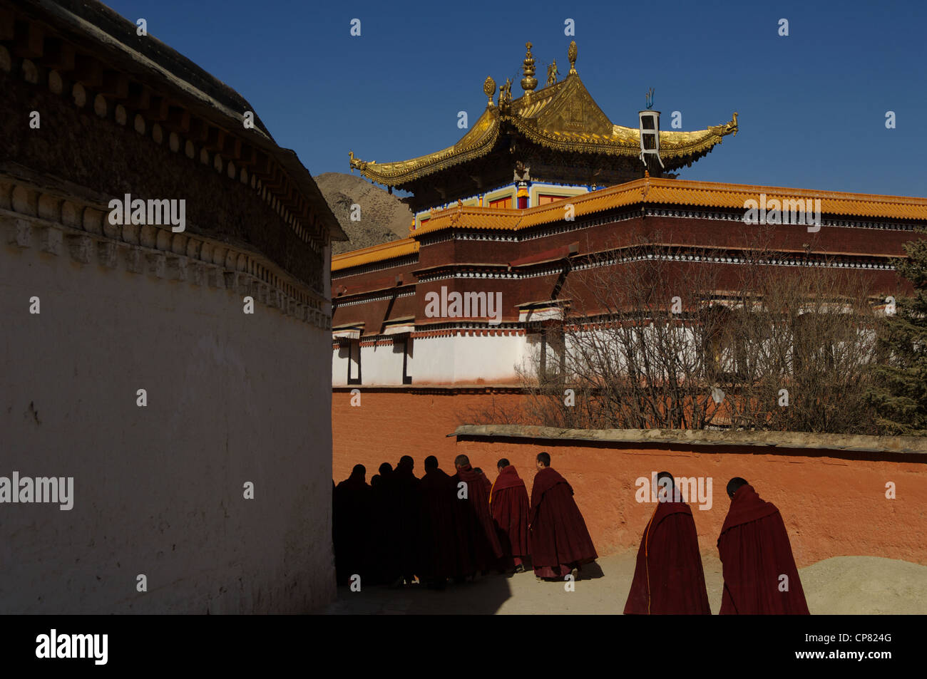 Labrang Monastery during Tibetan New Year celebrations, Gansu Province ...