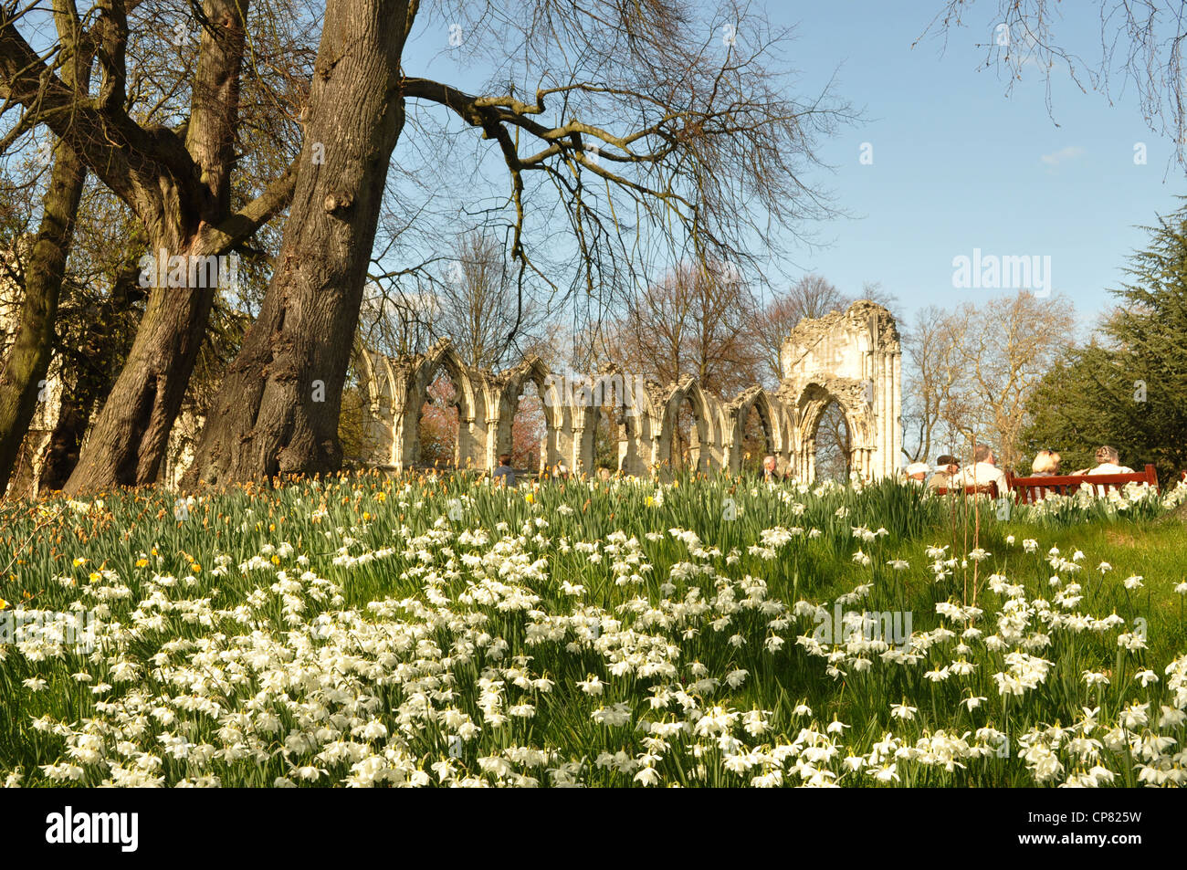 York museum gardens hi-res stock photography and images - Alamy