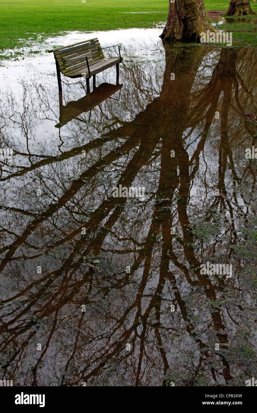 Empty wooden bench in flooded park with reflection of tree in water in ...