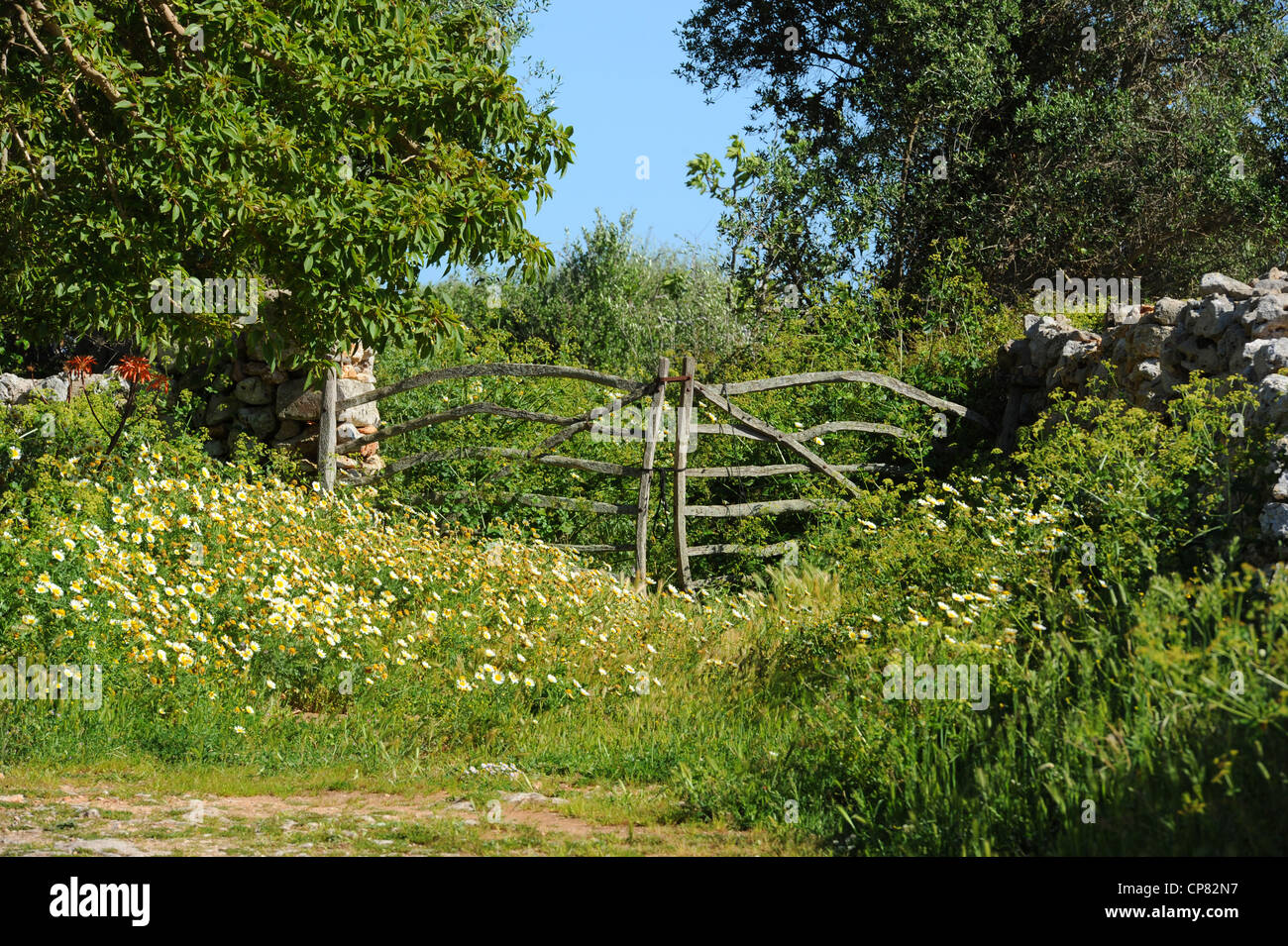 Menorcan rustic gates hi-res stock photography and images - Alamy