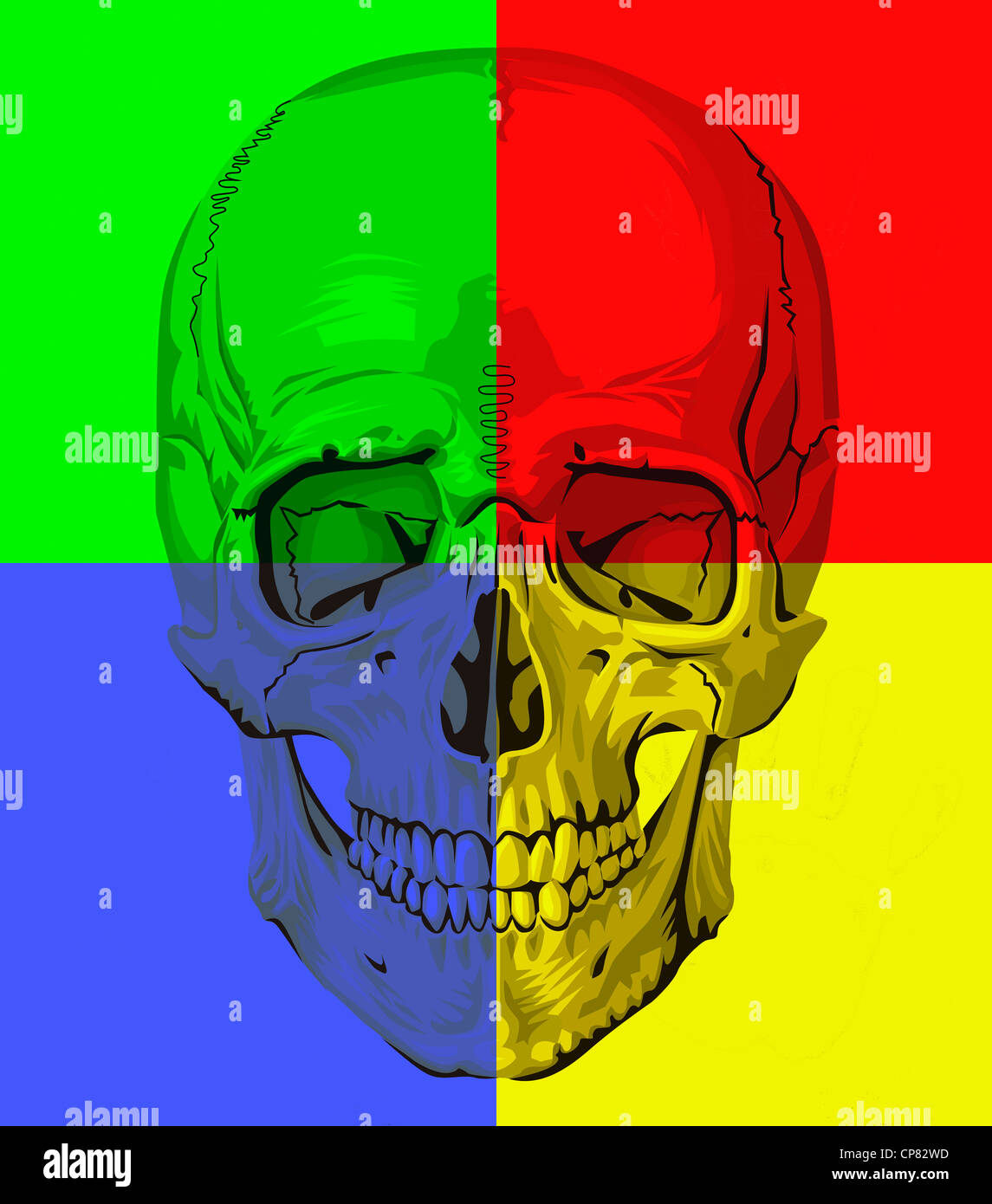 computer generated grinning human skull panel colors Stock Photo - Alamy