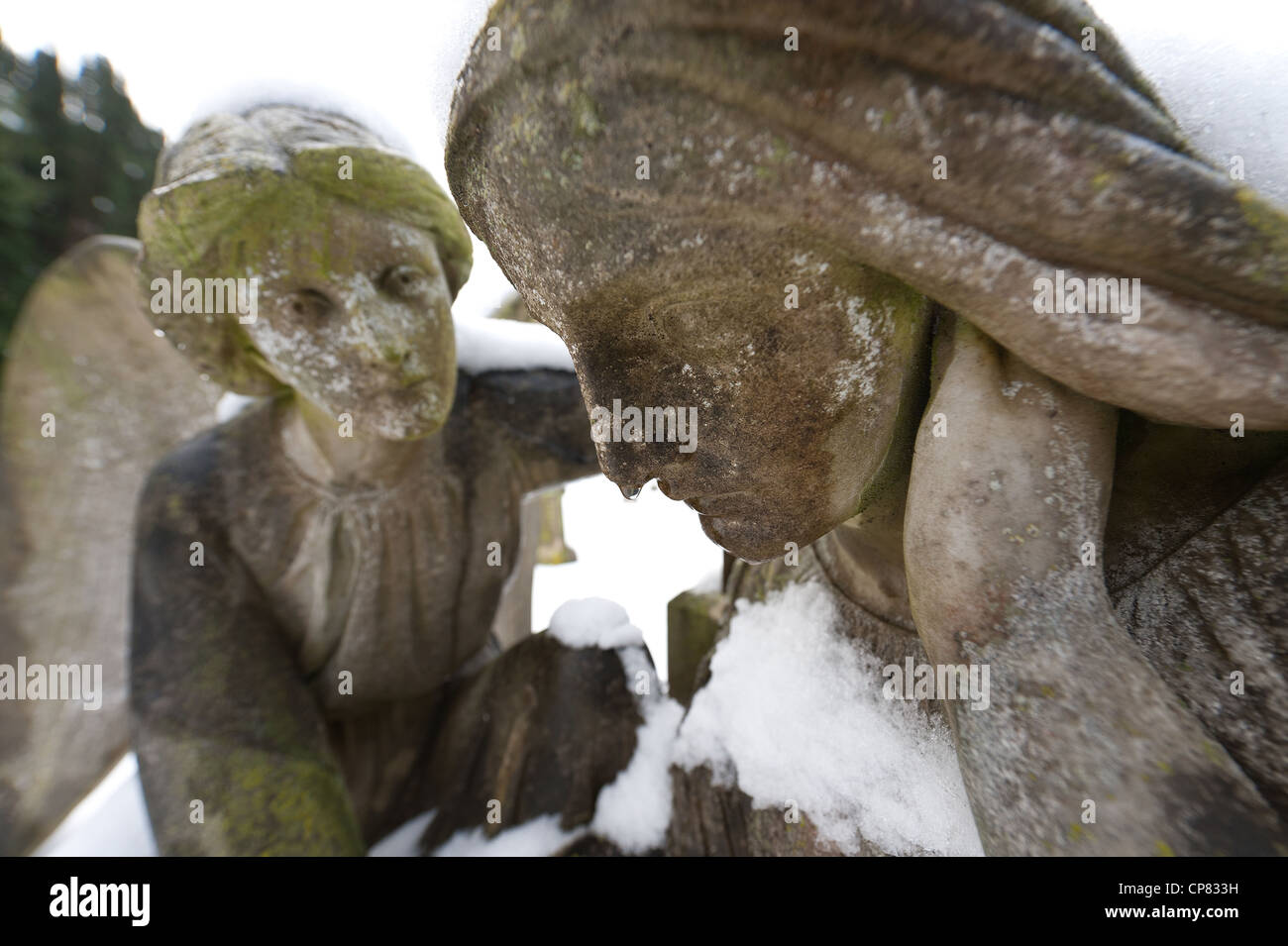 Bitterly cold sympathetic angel statue stares at companion with a cold ...