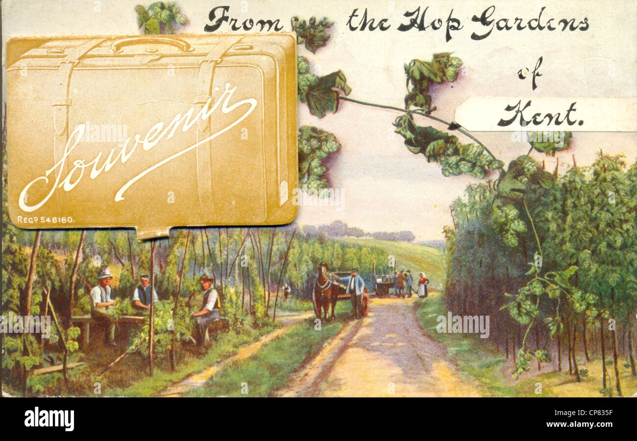 Postcard souvenir of the Kent hop gardens Stock Photo - Alamy