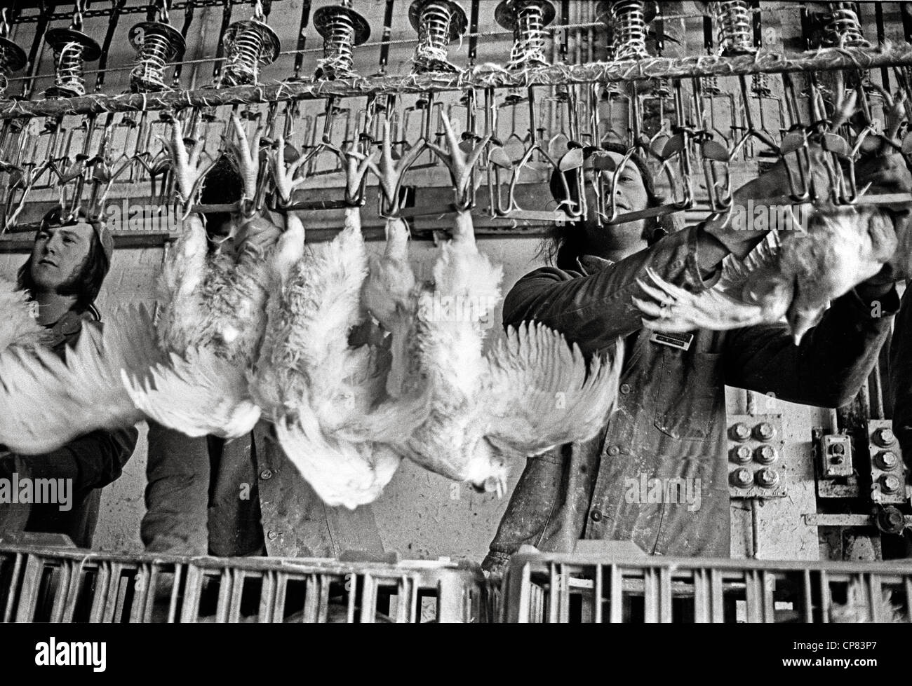 Factory uk 1970s hi-res stock photography and images - Alamy