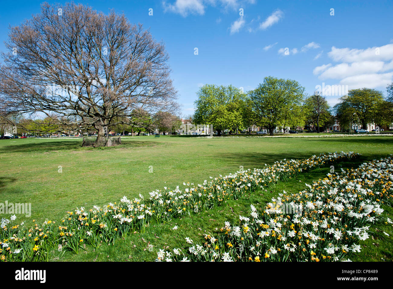 Ealing Common High Resolution Stock Photography and Images - Alamy
