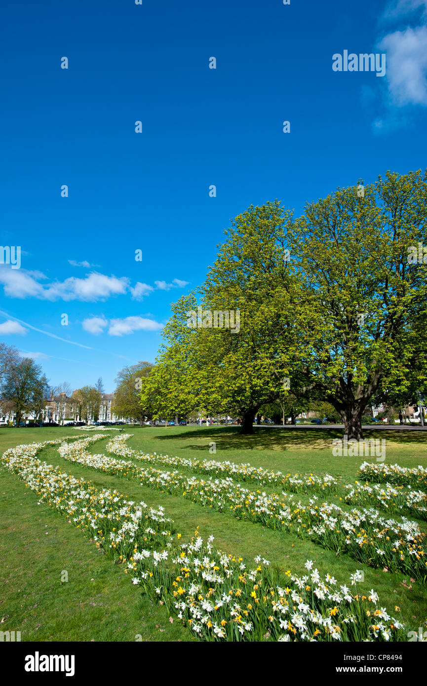 Ealing Common High Resolution Stock Photography and Images - Alamy
