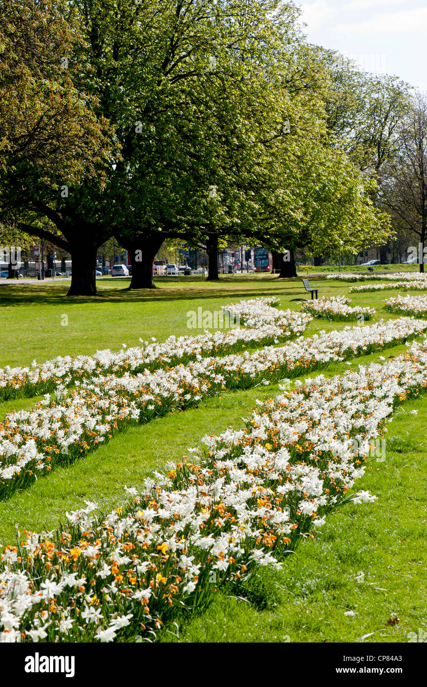 London spring hi-res stock photography and images - Alamy