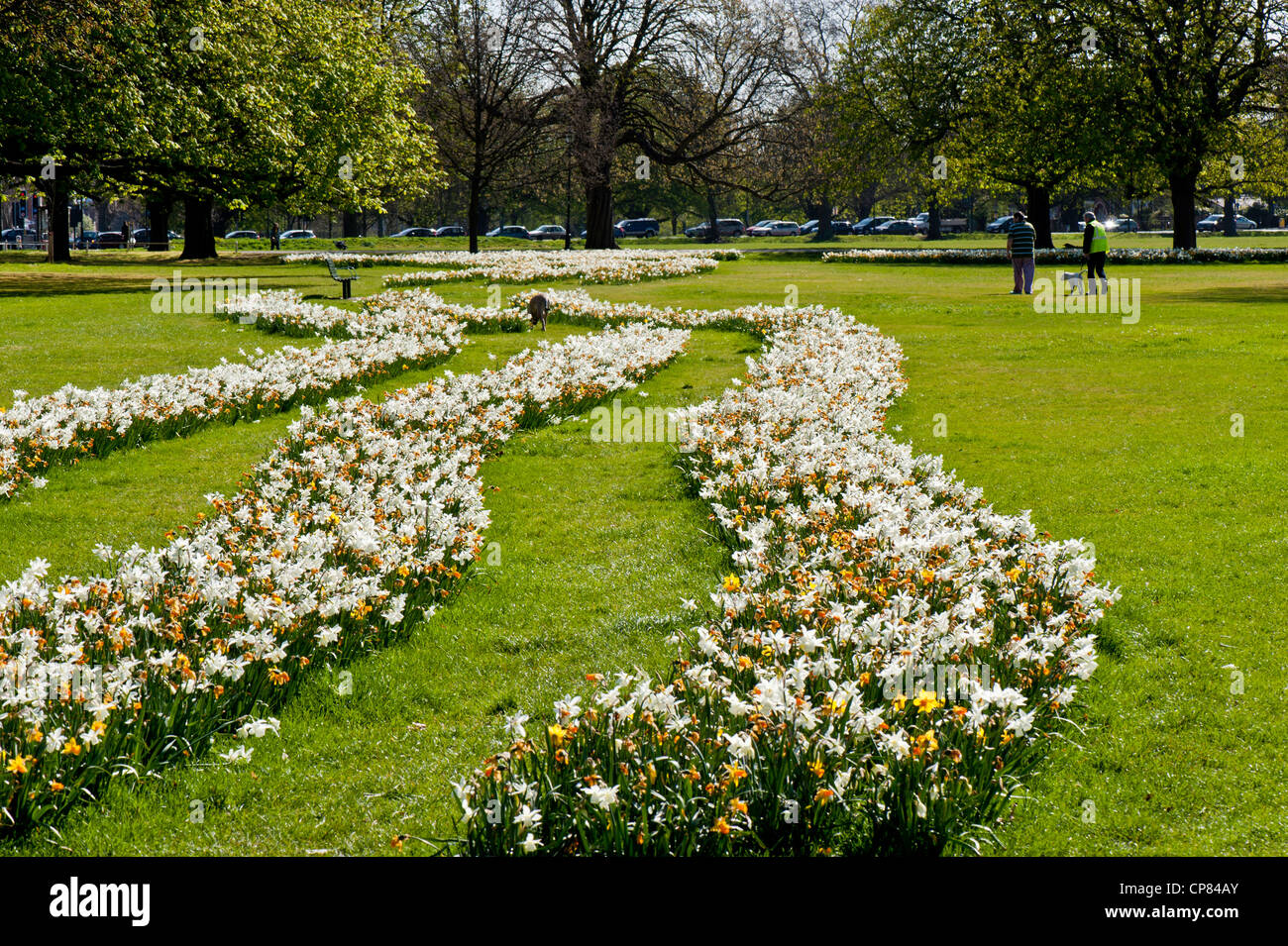 Ealing common hi-res stock photography and images - Alamy