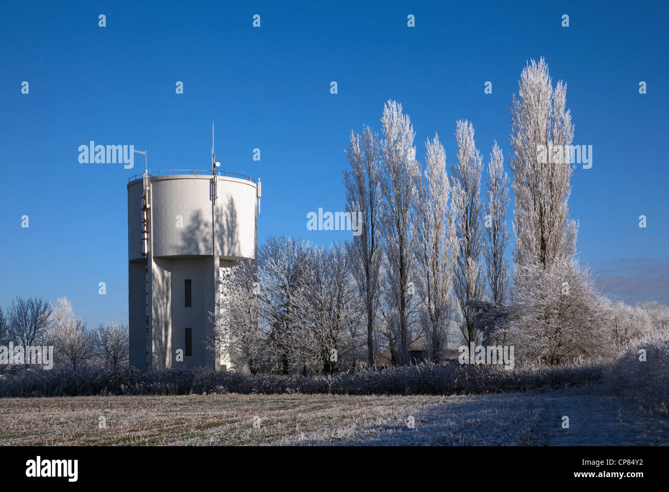 Water tower poplar trees hi-res stock photography and images - Alamy