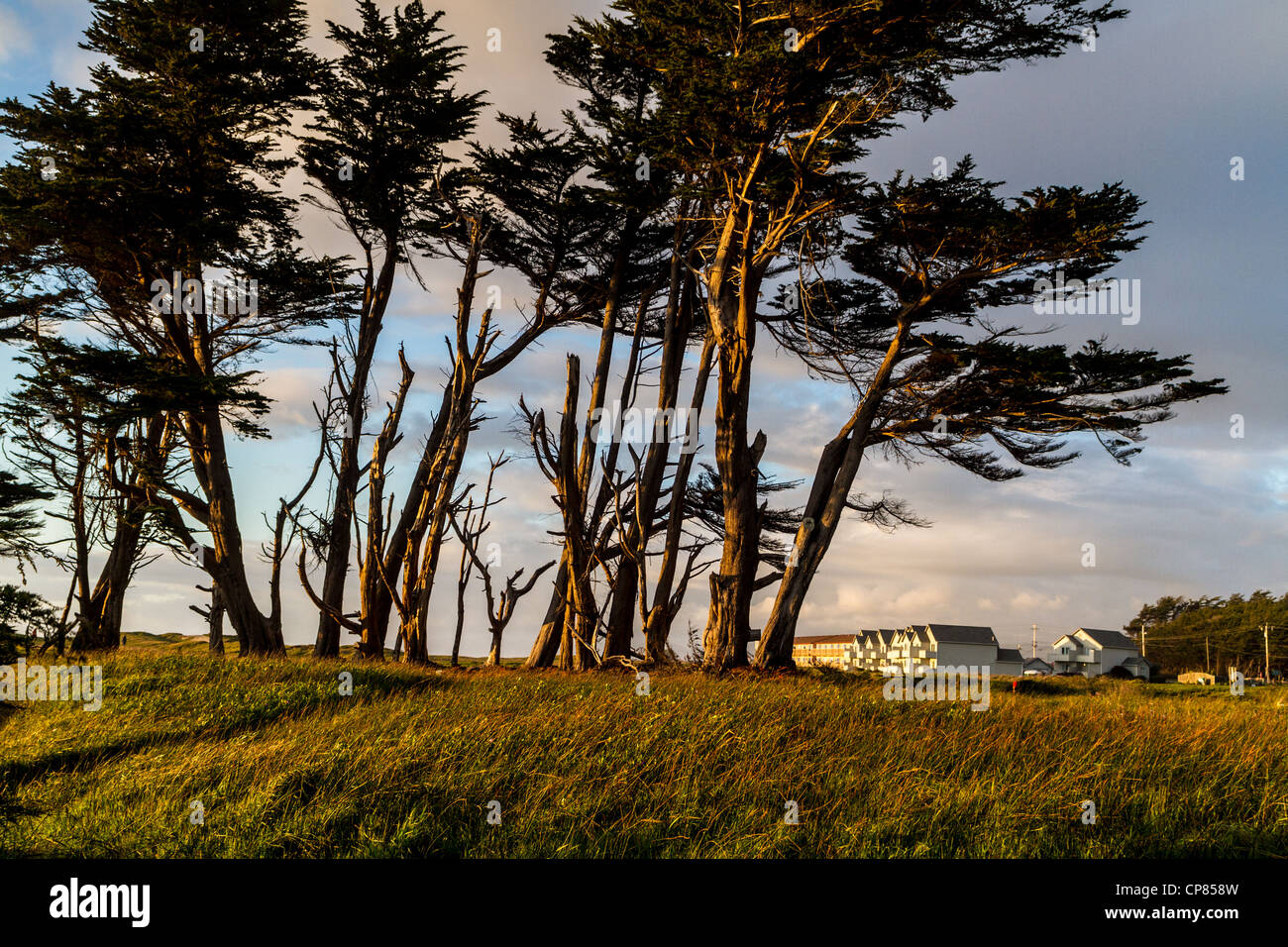 The Beachcomber motel at Sunset in Fort Bragg California Stock Photo ...