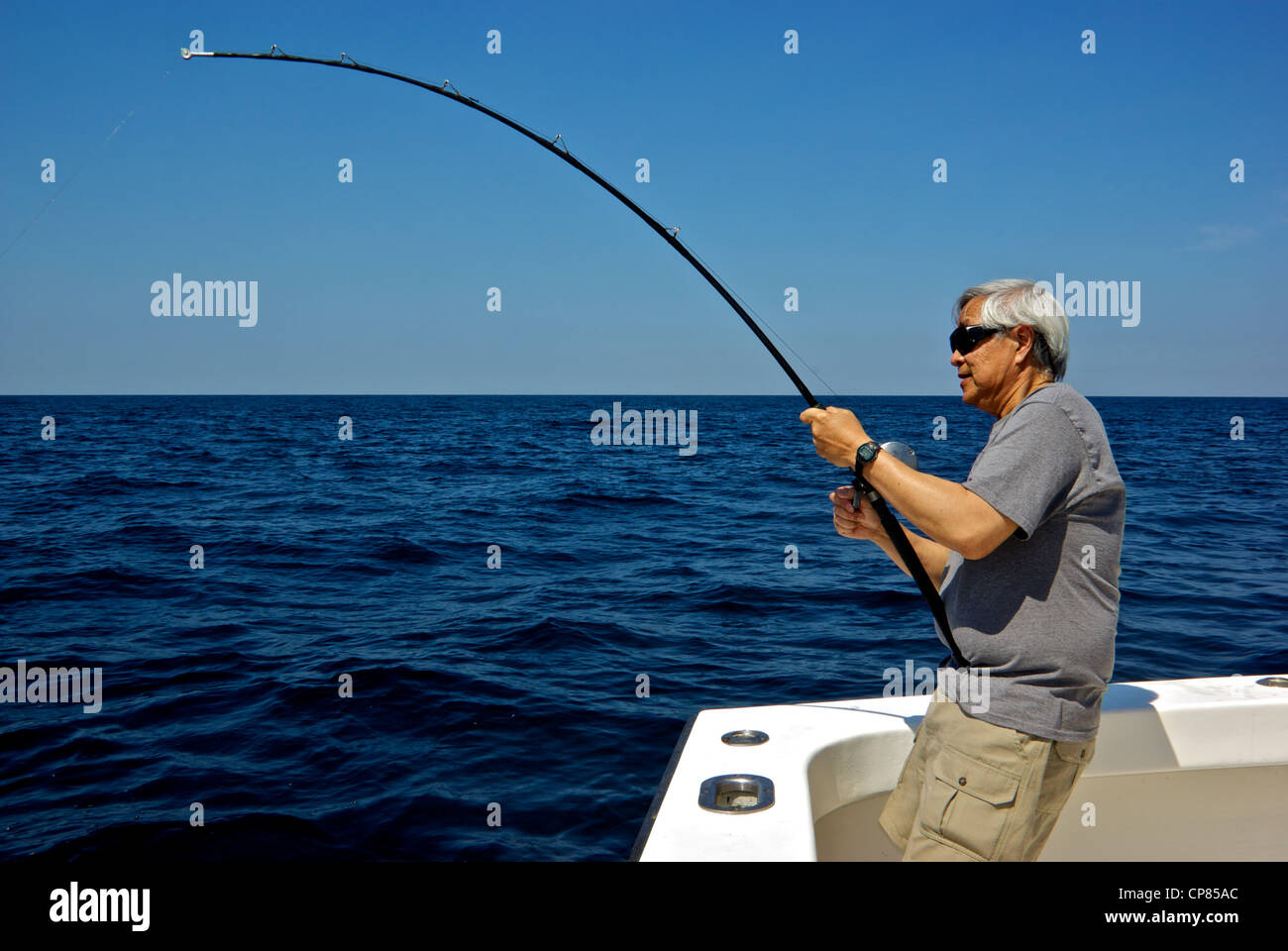 Male Deep Sea Angler Fish High Resolution Stock Photography and Images ...
