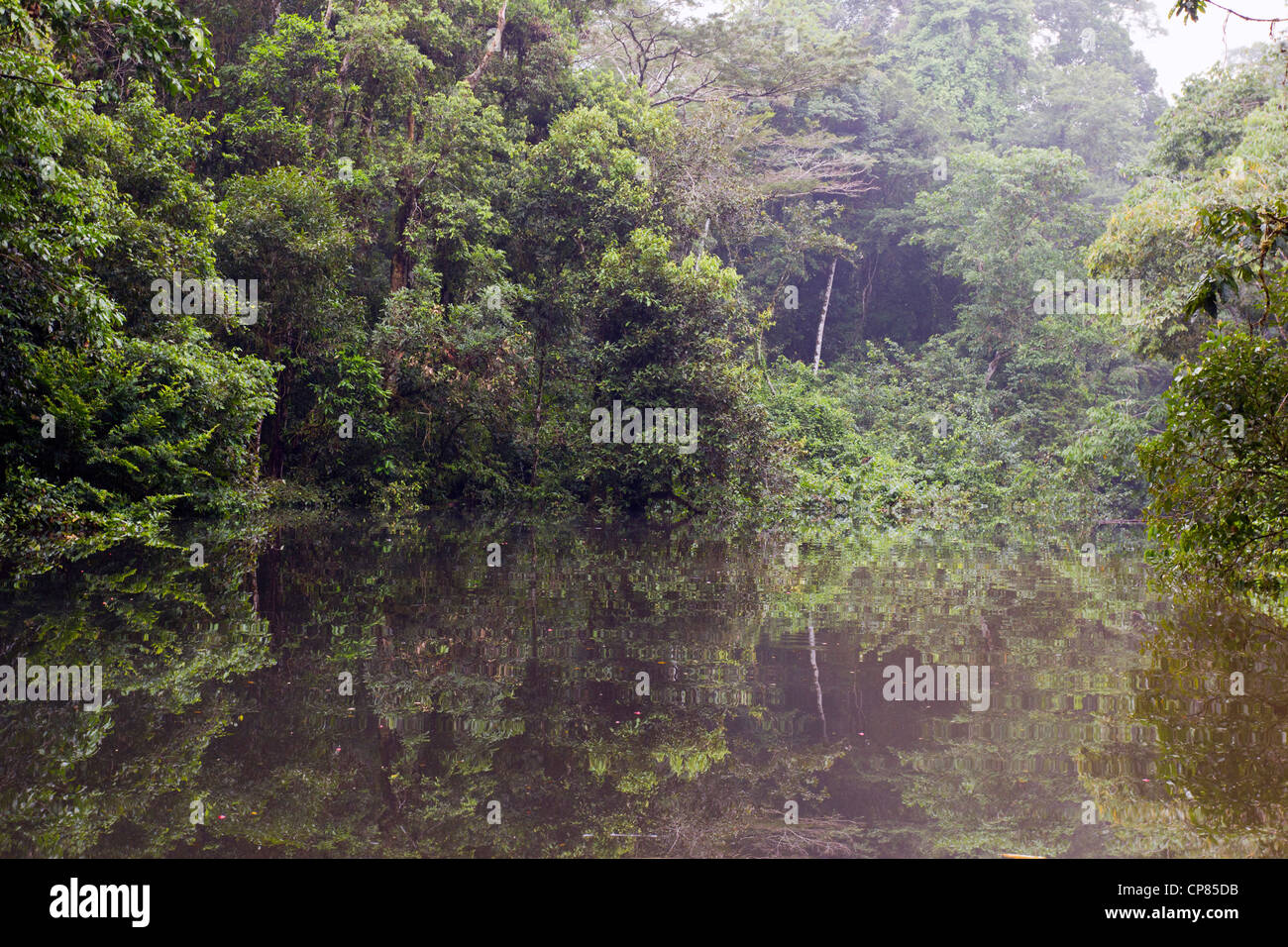 An oxbow lake (an old meander cut off from the main river) beside the ...