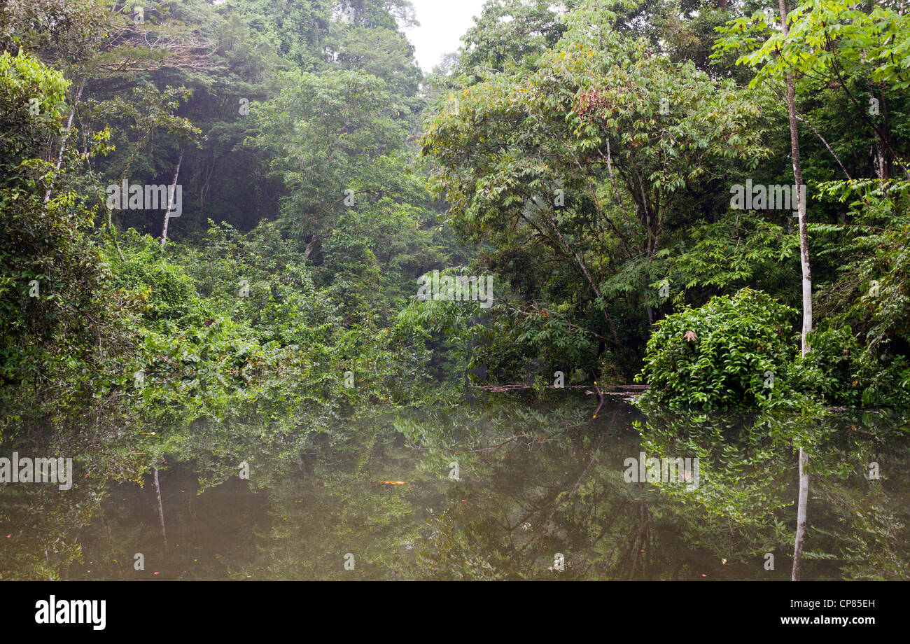 An oxbow lake (an old meander cut off from the main river) beside the ...