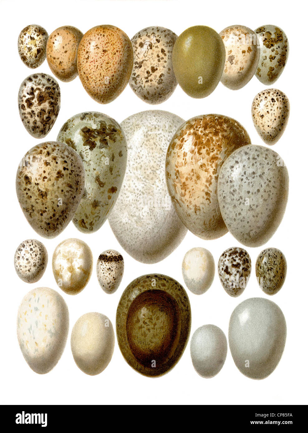 Zeichnerische darstellung hi-res stock photography and images - Alamy