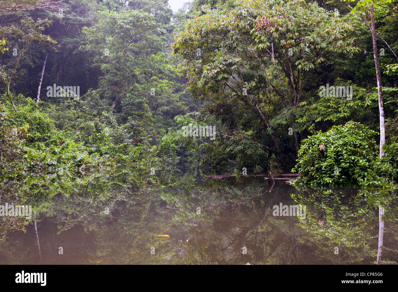 An oxbow lake (an old meander cut off from the main river) beside the ...