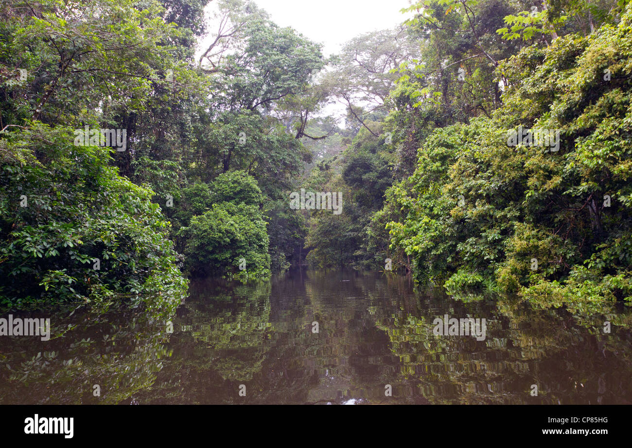 An oxbow lake (an old meander cut off from the main river) beside the ...