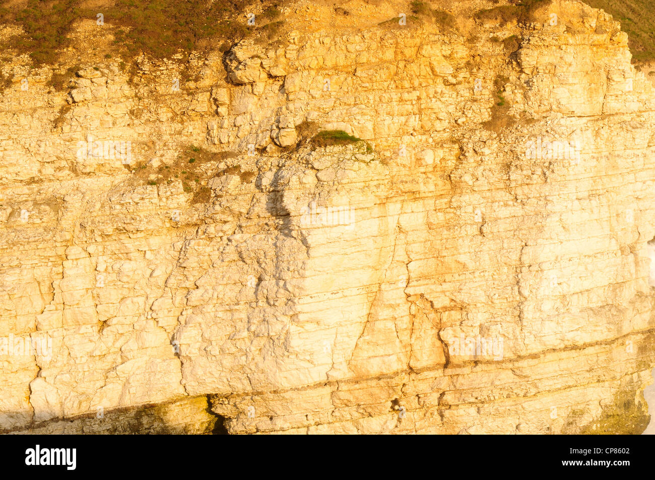Bempton Cliffs Yorkshire Coast England Stock Photo - Alamy