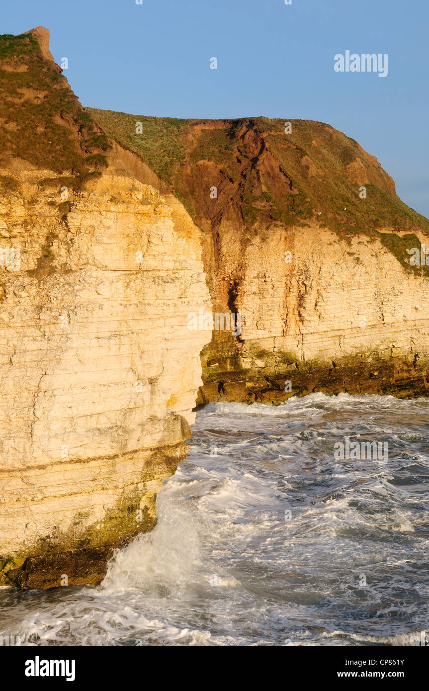 Bempton Cliffs Yorkshire Coast England Stock Photo - Alamy