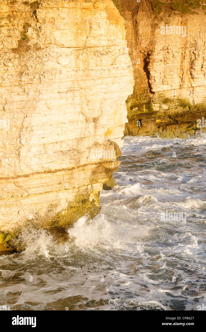 Bempton Cliffs Flamborough Yorkshire England Stock Photo - Alamy