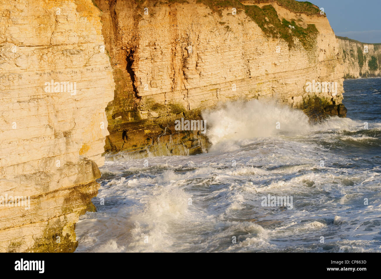 Bempton Cliffs Flamborough Yorkshire England Stock Photo - Alamy
