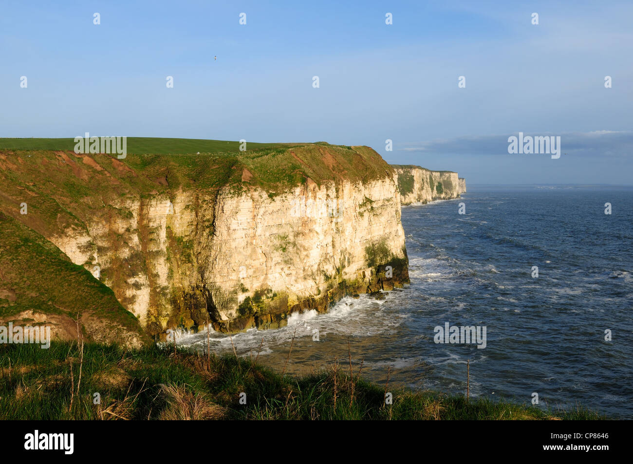 Bempton Cliffs Flamborough Yorkshire England Stock Photo - Alamy