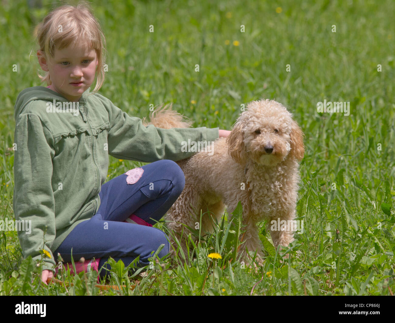 Poodle and blond girl hi-res stock photography and images - Alamy