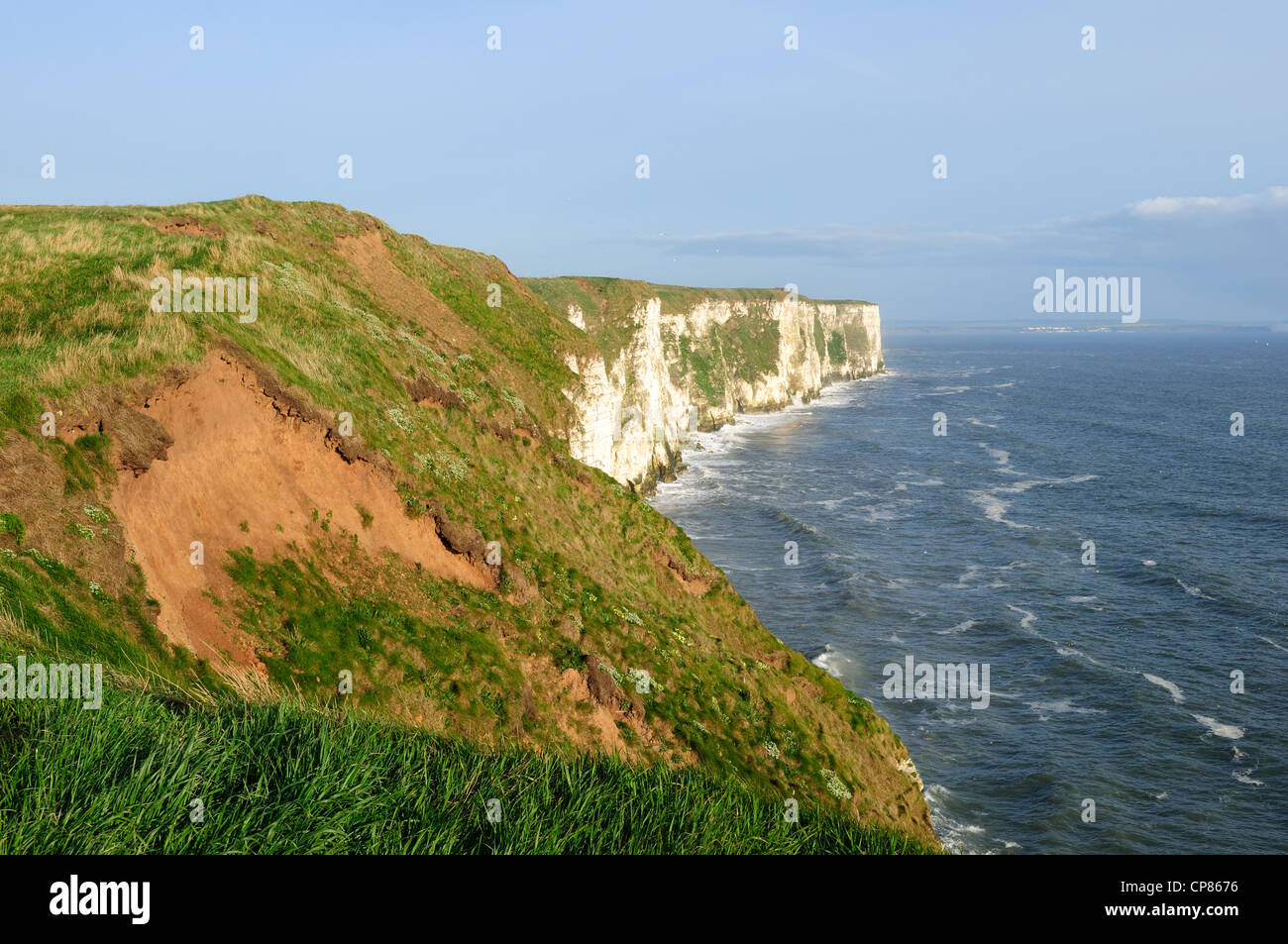 Bempton Cliffs Flamborough Yorkshire England Stock Photo - Alamy