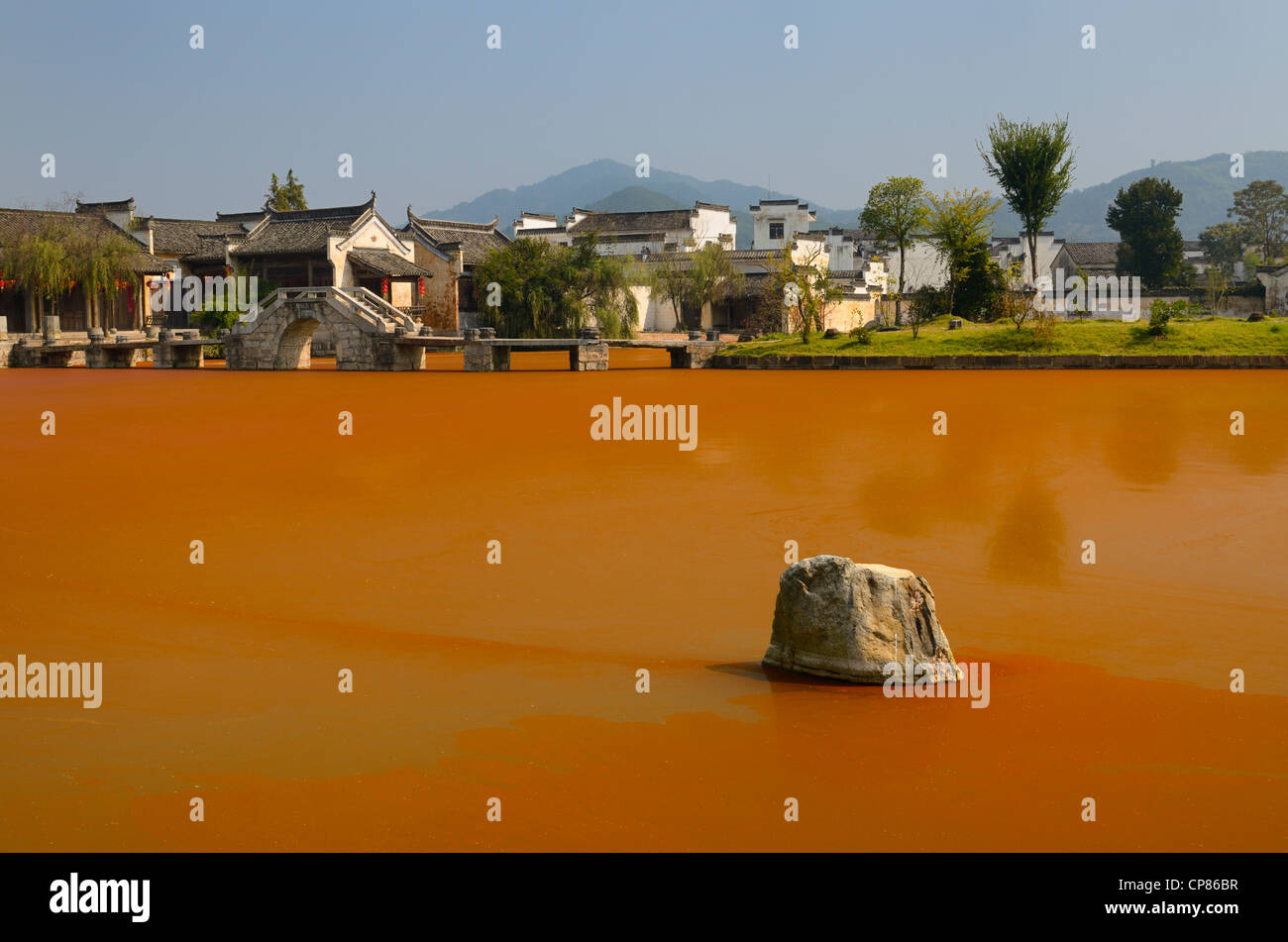 Euglena hi-res stock photography and images - Alamy