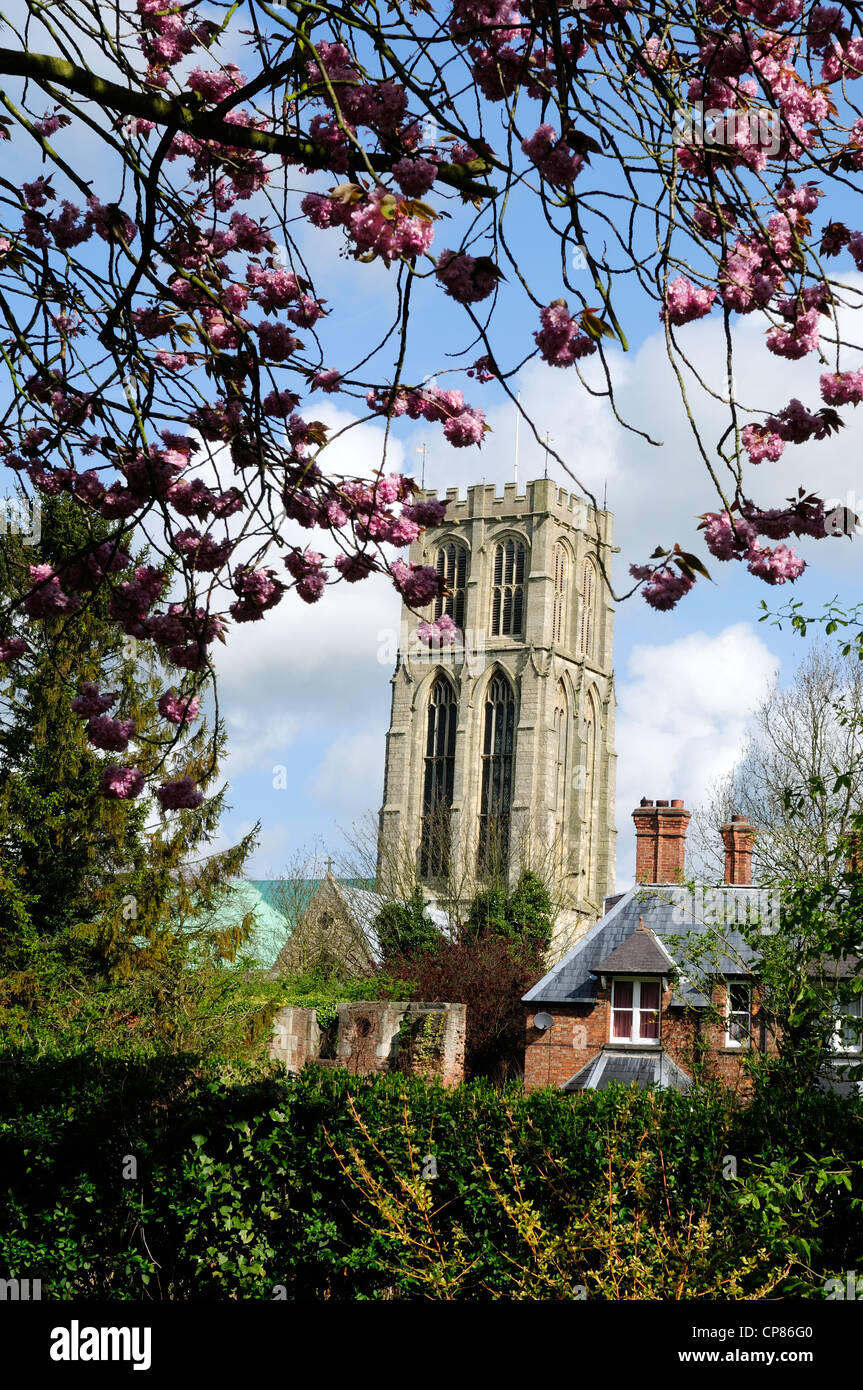 Howden park center hi-res stock photography and images - Alamy