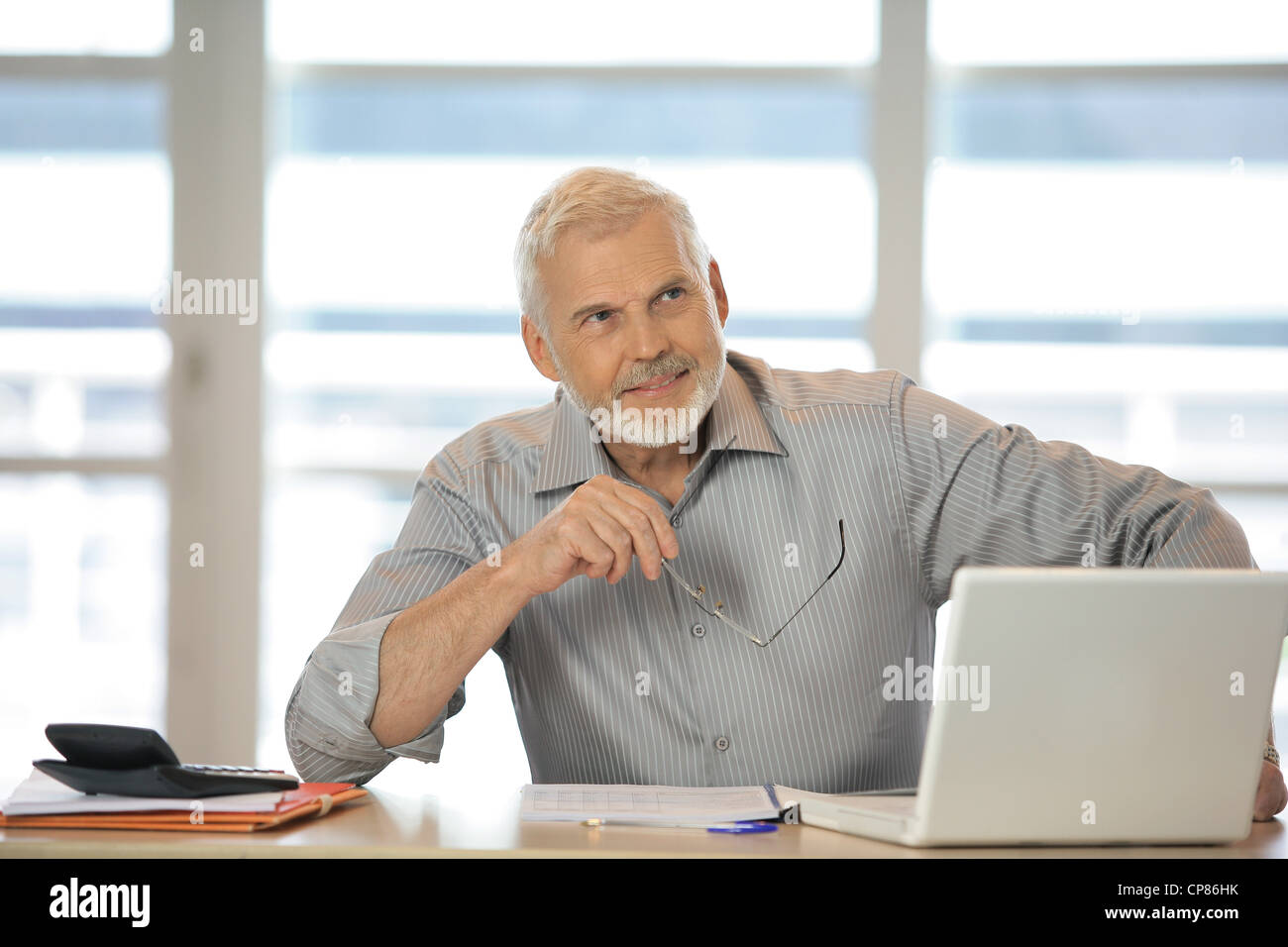 Grey-haired company boss Stock Photo - Alamy