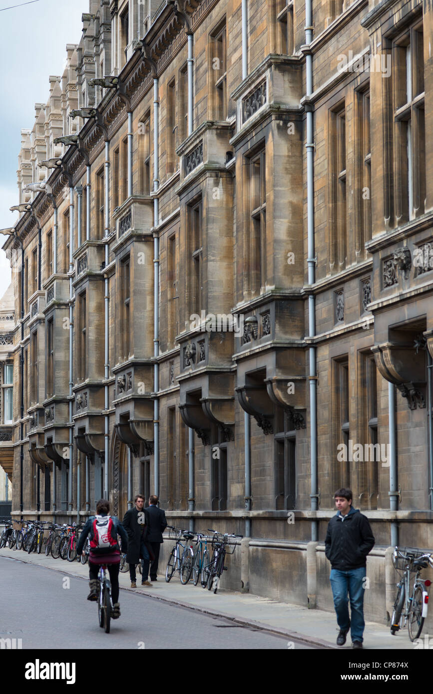 Tree court hi-res stock photography and images - Alamy