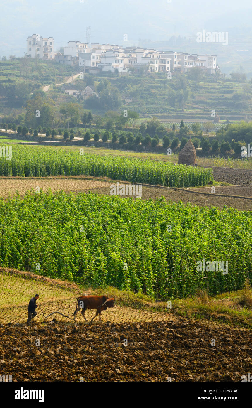 Farmer plowing field hi-res stock photography and images - Alamy
