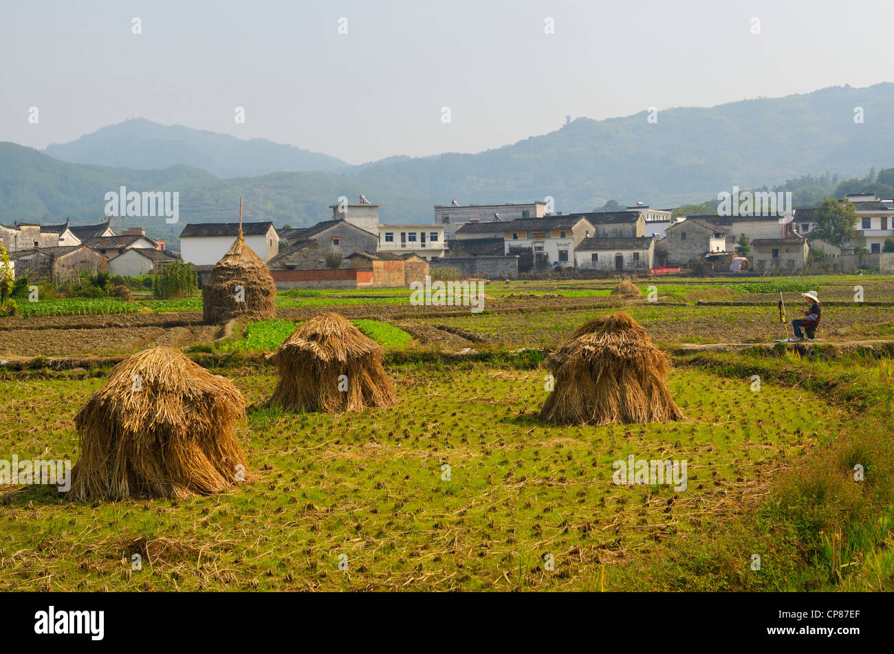 Young Chinese female art student painting haystacks and Hui style ...