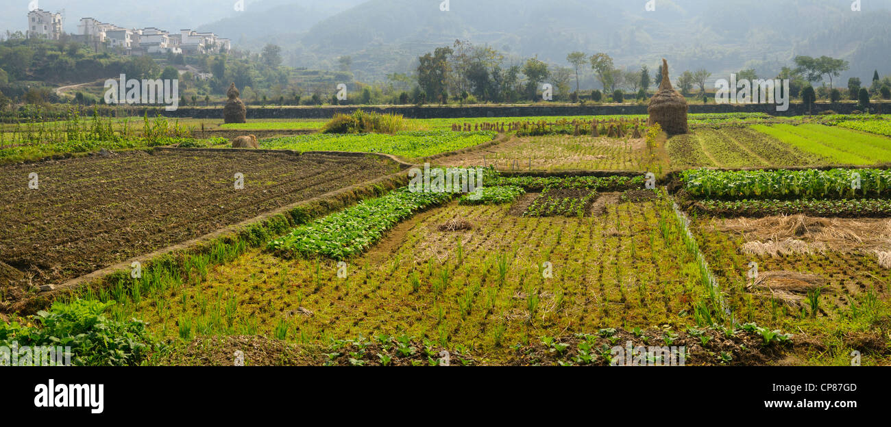 Panorama of Hilltop village and cultivated farm fields at Yanggancun ...