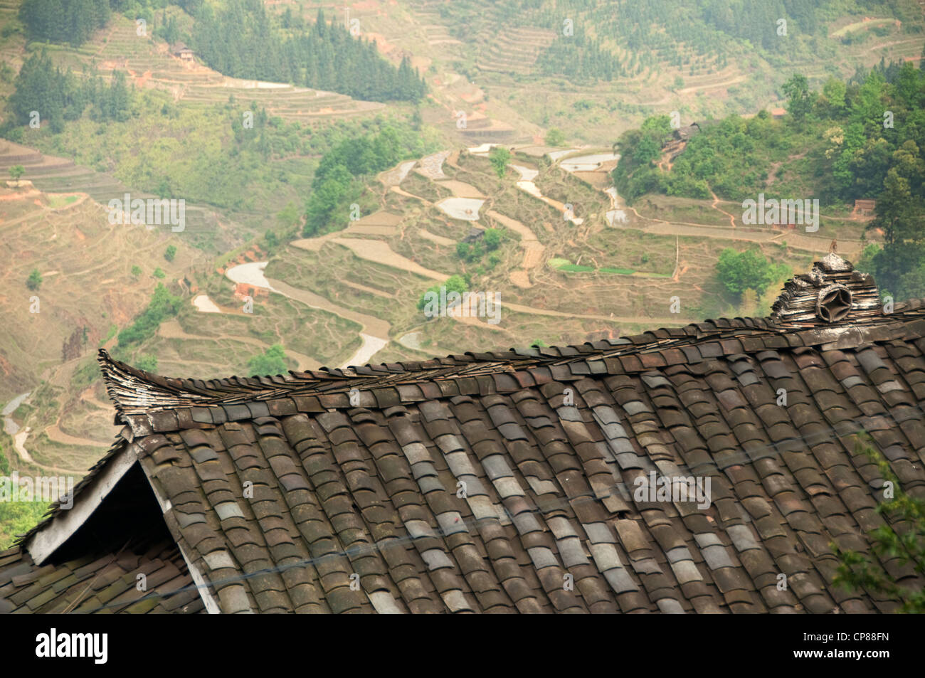 Roof of a Basha Miao traditional house with terraced rice fields in the ...