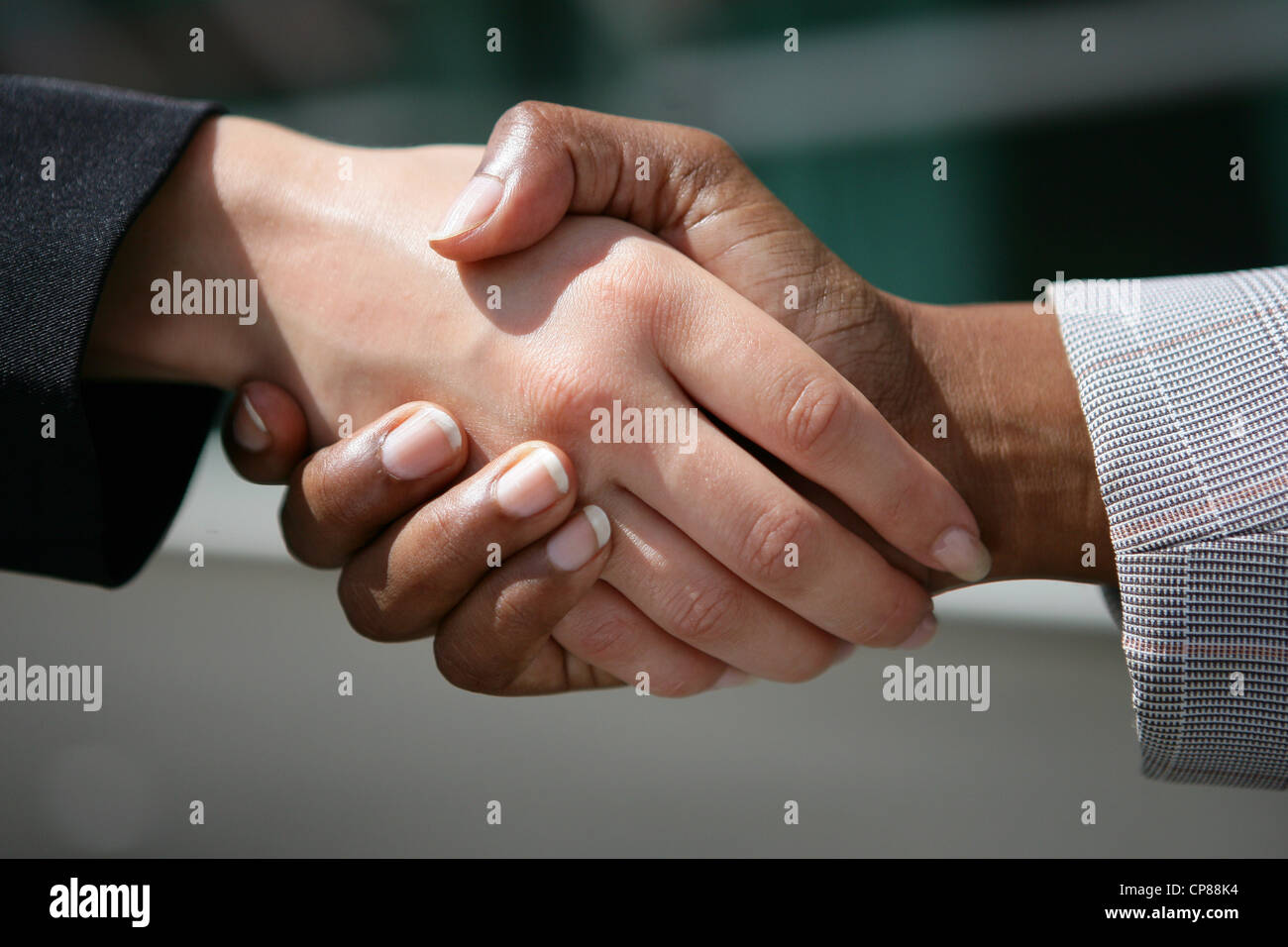 Studio shot two coworkers hi-res stock photography and images - Alamy