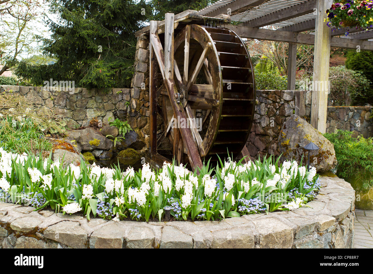 Old water mill with water running into flower pond Stock Photo - Alamy