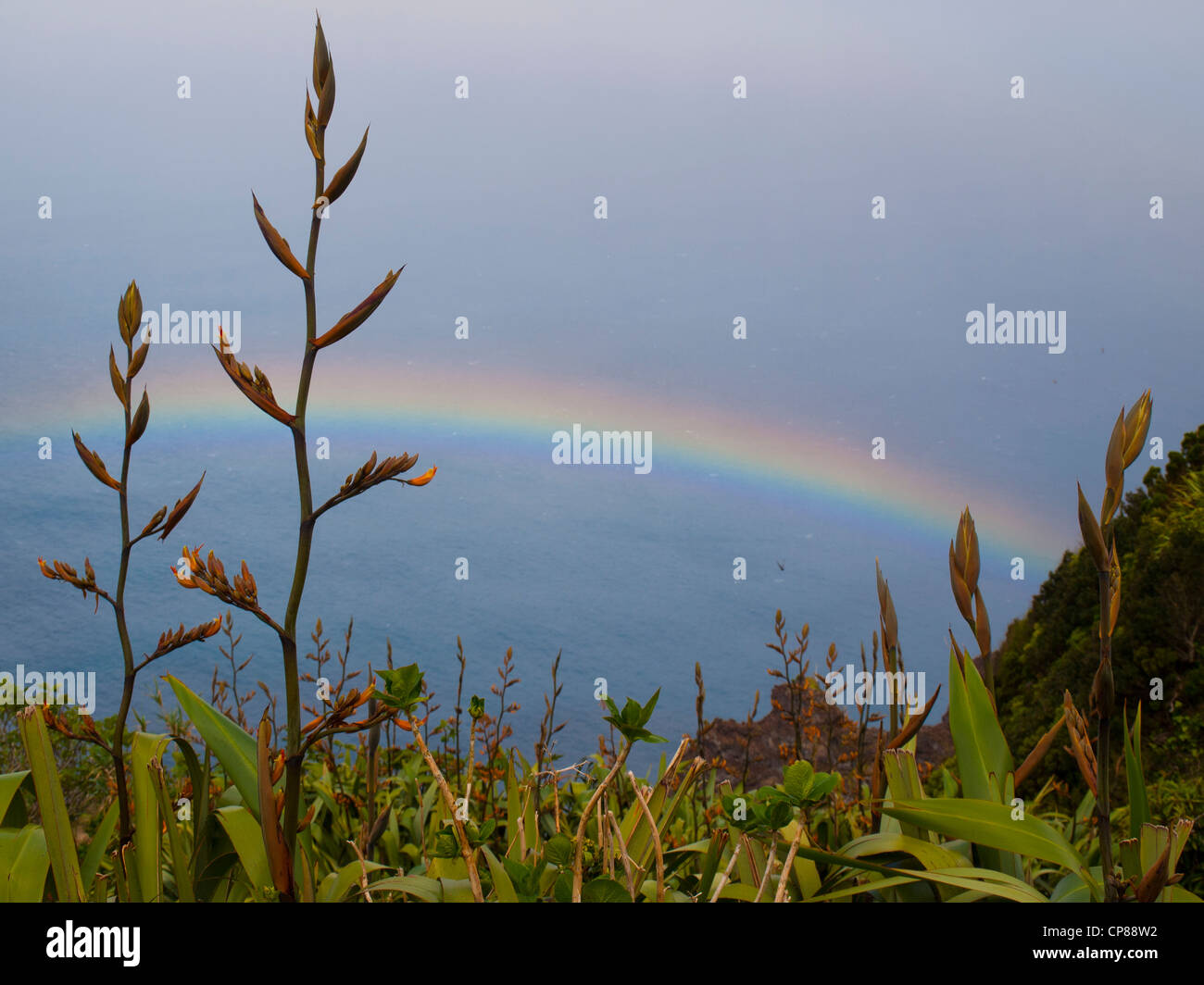 Rainbow over the sea Stock Photo - Alamy